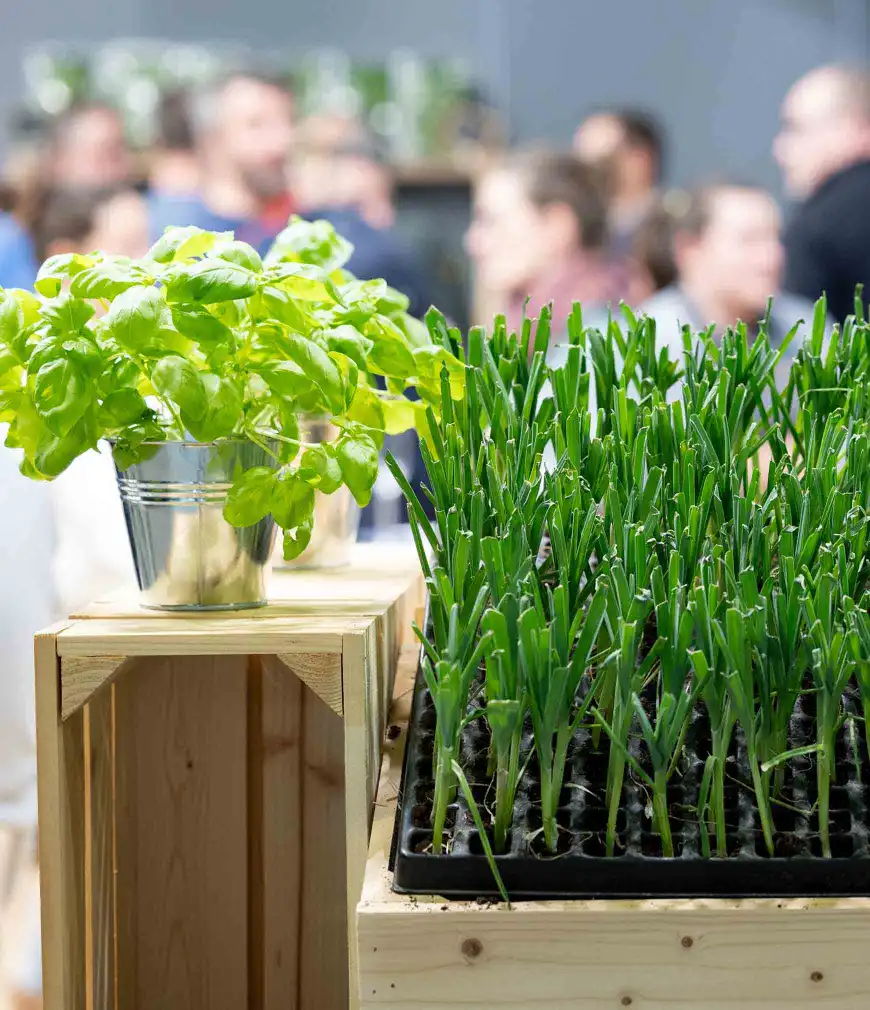 SIVAL 2025 - January 14 to 16, 2025 - Exhibition Centre - Angers