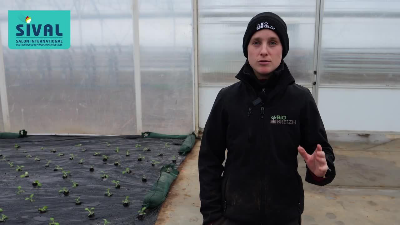 Mon SIVAL & Moi: a key event for market gardeners - SIVAL