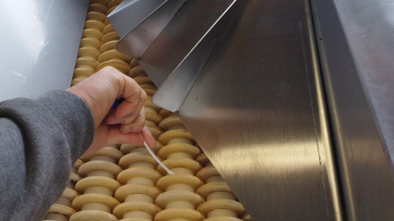 Hygiene and microbiology in the winery | SIVAL 2027