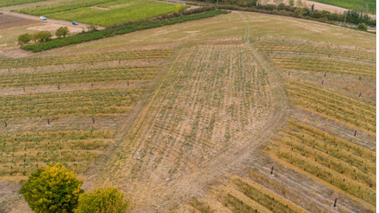 DEPHY EXPE II viticulture projects | SIVAL 2026